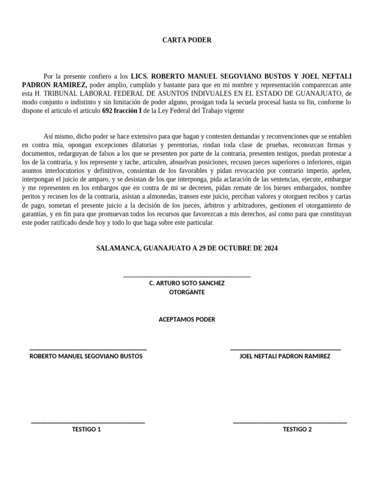 Carta Poder Laboral | PDF | Separación de poderes | Gobierno