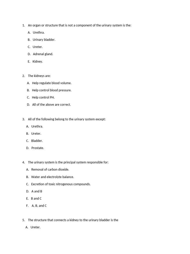 MCQ On Urinary System | PDF | Kidney | Urinary System