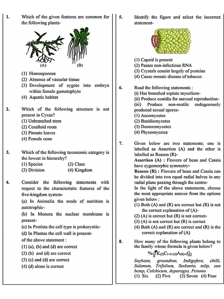Guess Test Paper 1 | PDF