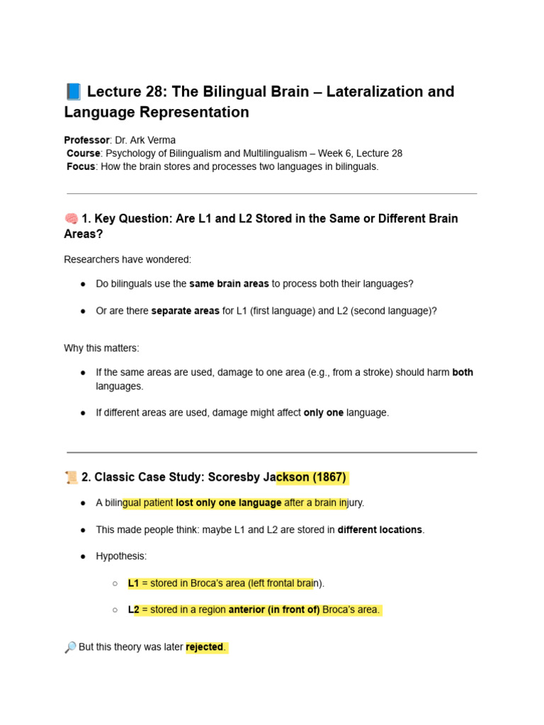 Bilingual Brain: Language Storage Insights | PDF | Grammatical Gender ...