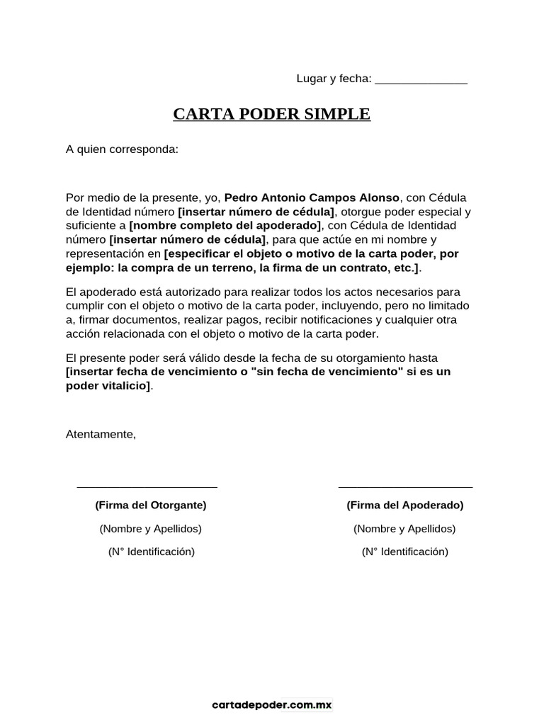 Carta de Poder Simple | PDF