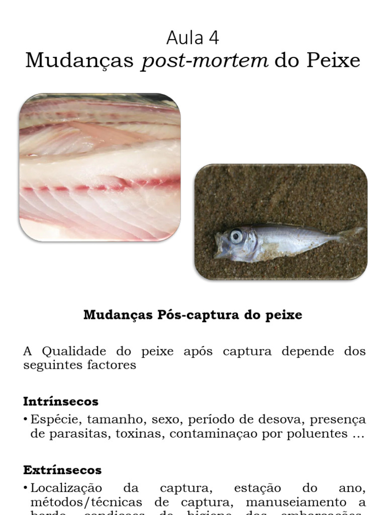 Aula 4 -Alteracoes Do Musculo Do Peixe Pos Morte | PDF | Difosfato de adenosina | Biologia