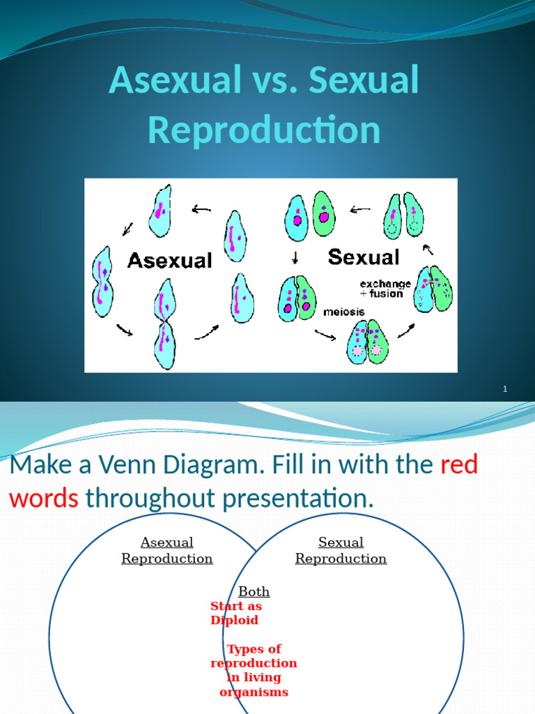 Asexual Vs Sexual Reproduction PowerPoint | PDF | Sexual Reproduction ...