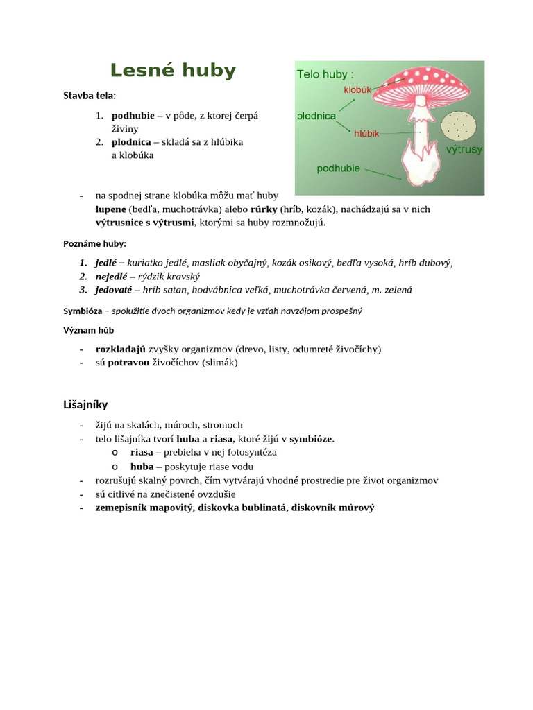 Lesné Huby A Lišajníky - Poznámky | PDF