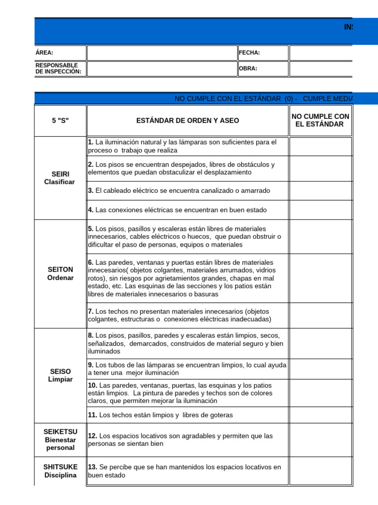 Formato de Inspeccion de Orden y Aseo | PDF