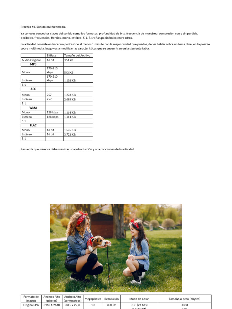 Práctica #3. Sonido en Multimedia | PDF | Grabación | Ingeniería de audio