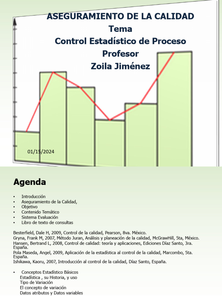 Estadistica Intr0ducci0n y Tema 1a 2024 | PDF | Calidad (comercial) | Estadísticas