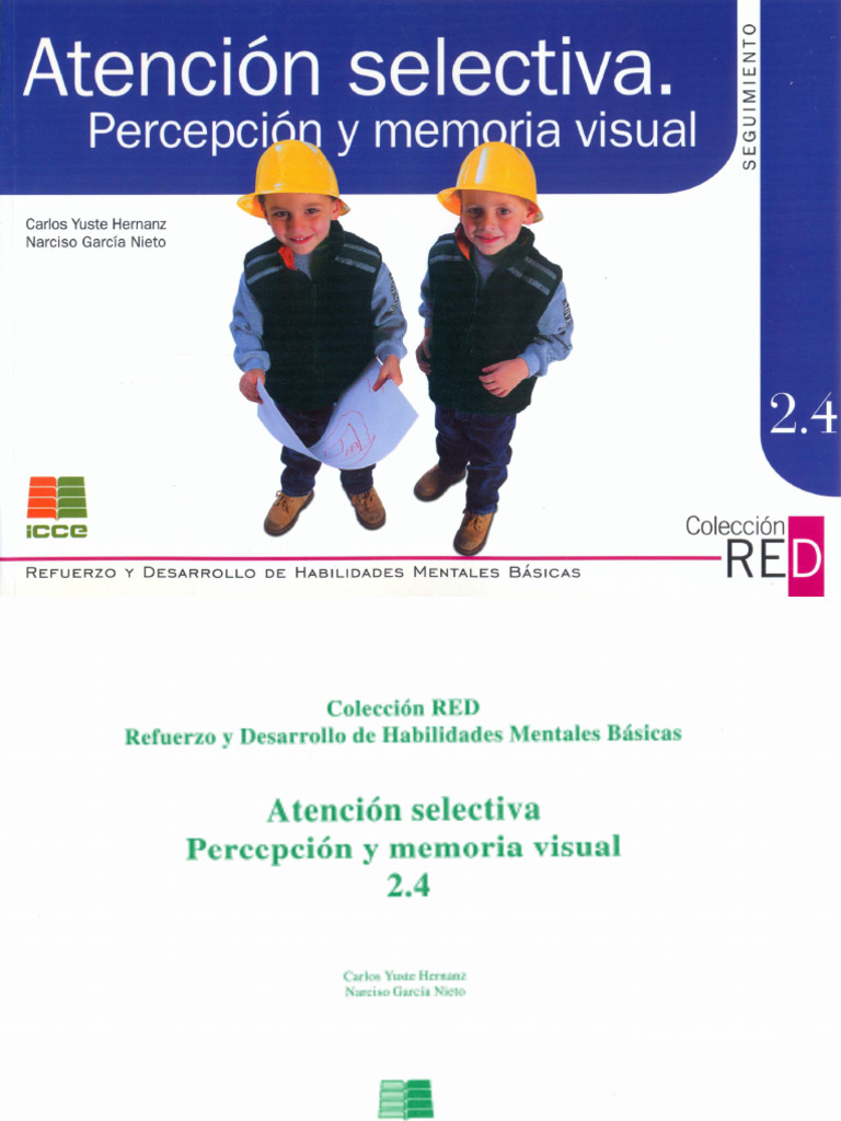 ATENCION SELECTIVA PERCEPCION Y MEMORIA VISUAL 2,4(1) | PDF