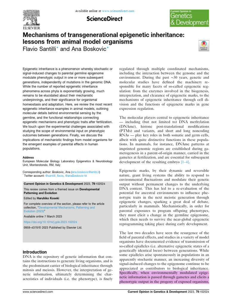 Transgenerational Epigenetic Inheritance | PDF | Epigenetics | Heredity