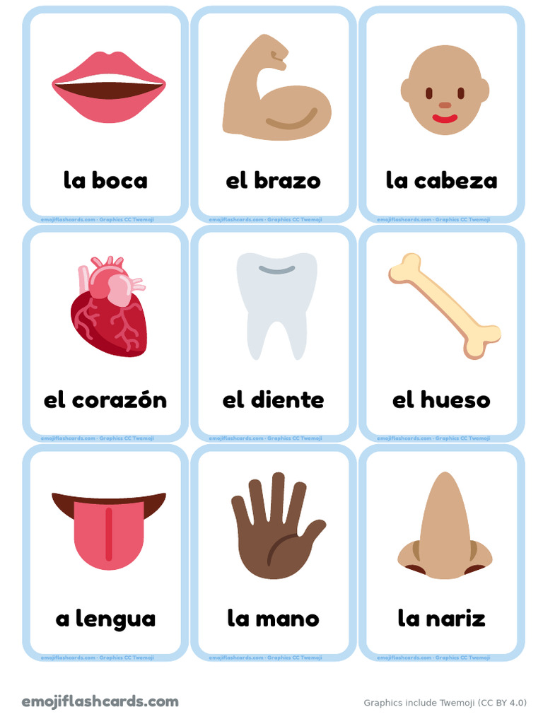 Spanish Parts of The Body Small A4 Flashcards | PDF