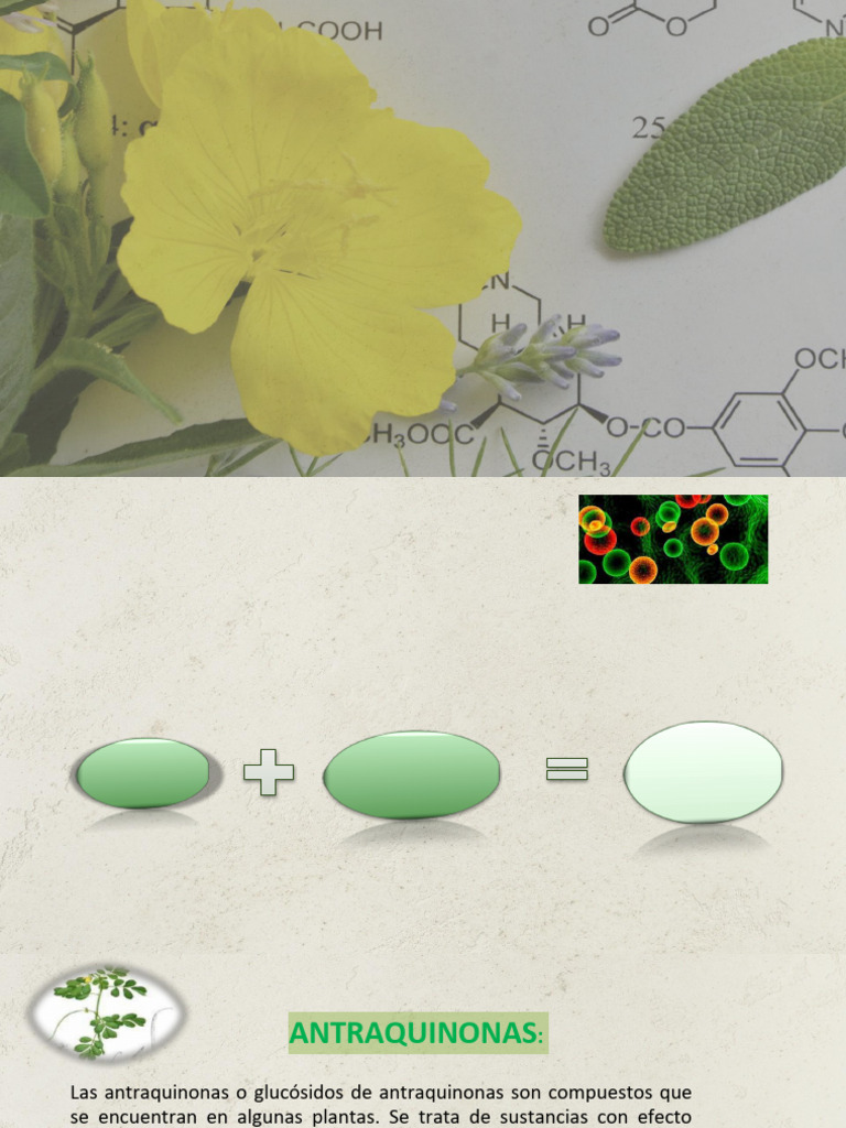CLASE 4 Heterosidosoglucocidos | PDF