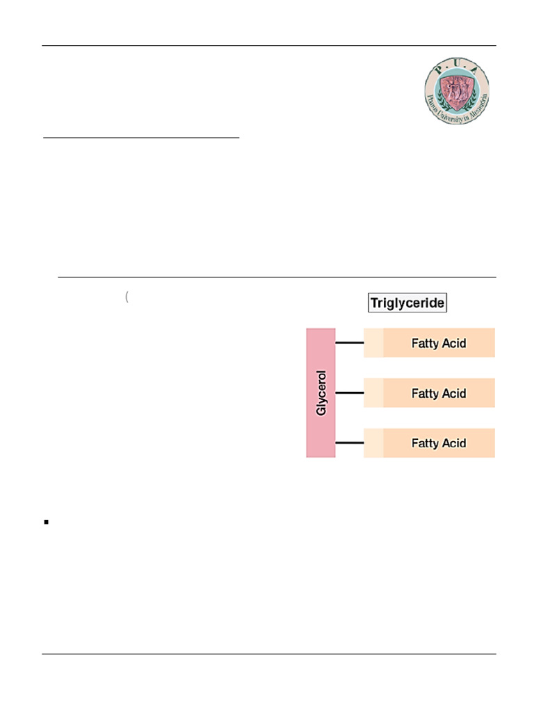 Determination of serum triglycerides (1) | PDF | Lipoprotein | Cholesterol