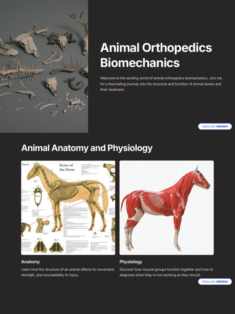 Animal Orthopedics Biomechanics | PDF | Biomechanics | Medical Diagnosis