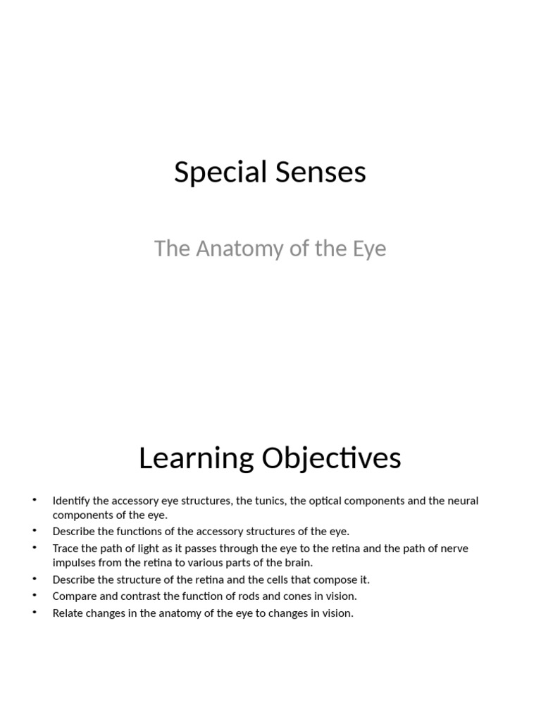 Anatomy of the Eye_slides | PDF | Retina | Eye