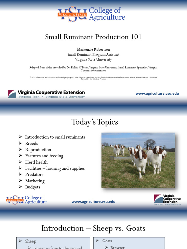 Small Ruminant Presentation 2024 PDF | PDF | Sheep | Goat