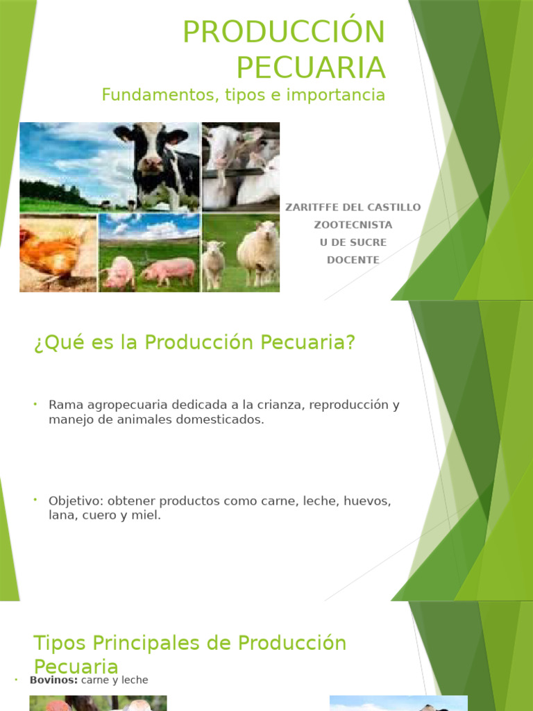 Producción Pecuaria: Tipos e Importancia | PDF