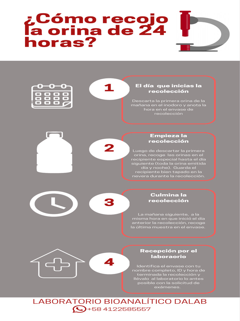 Infografía Recolección Orina 24 Horas | PDF