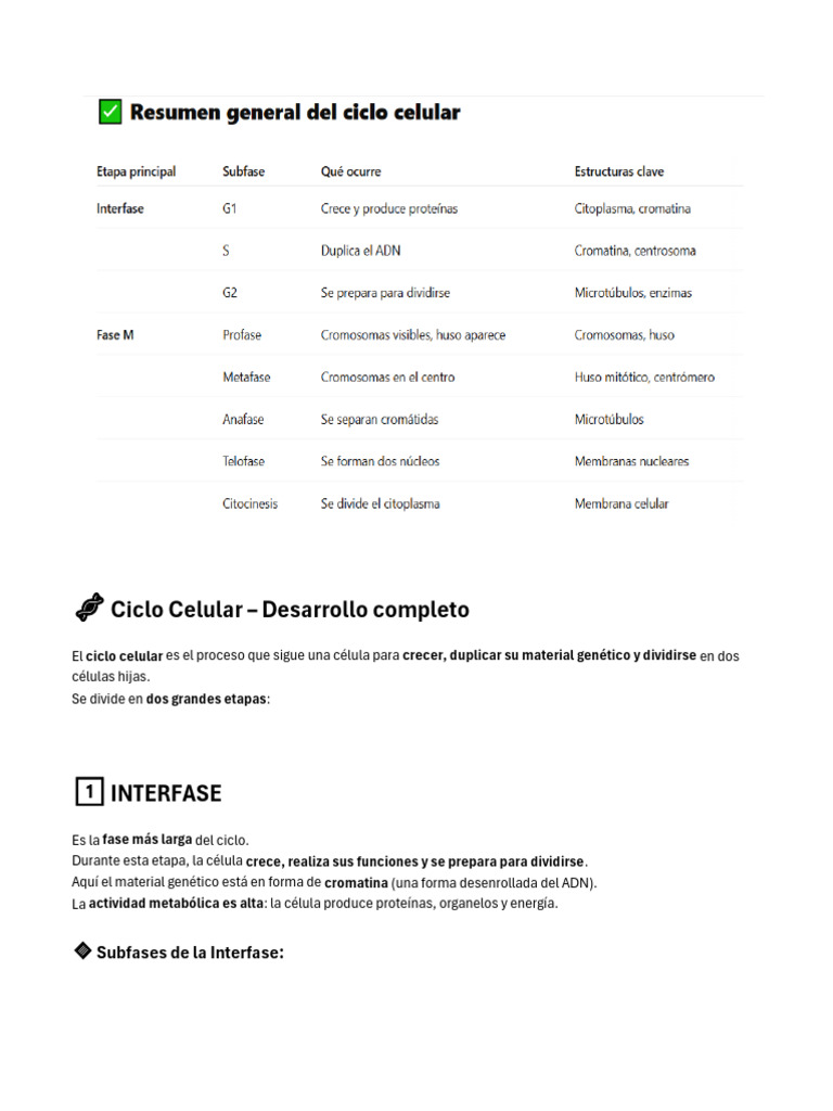 Ciclo Celular: Etapas y Proceso Detallado | PDF | Mitosis | Genética