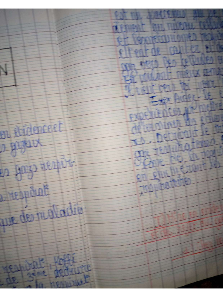 Img 20250501 Wa0115 | PDF