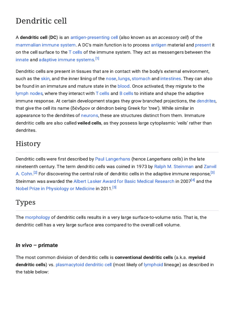 Dendritic Cells: Immune System Role | PDF | Dendritic Cell | Immunology