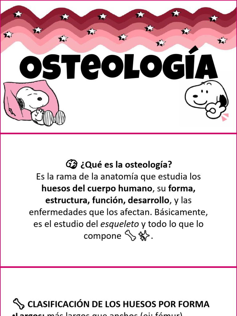 Guía Completa de Osteología y Huesos | PDF | Términos anatómicos de ...