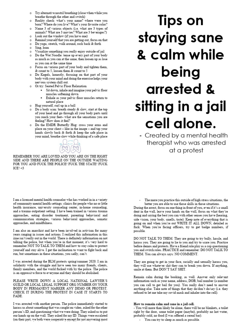 How-To-Remain Calm-While-Youre-In-Jail | PDF