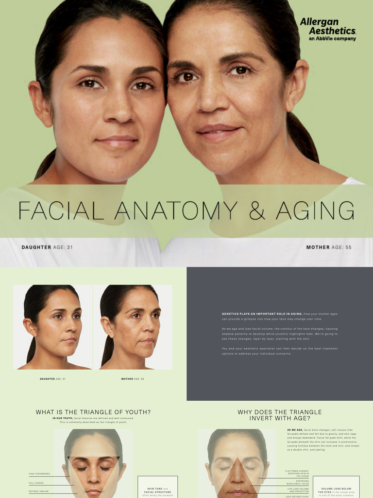 Understanding Facial Aging Factors | PDF | Face | Human Anatomy