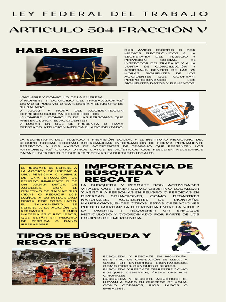 Articulo 20241129 191438 0000 | PDF