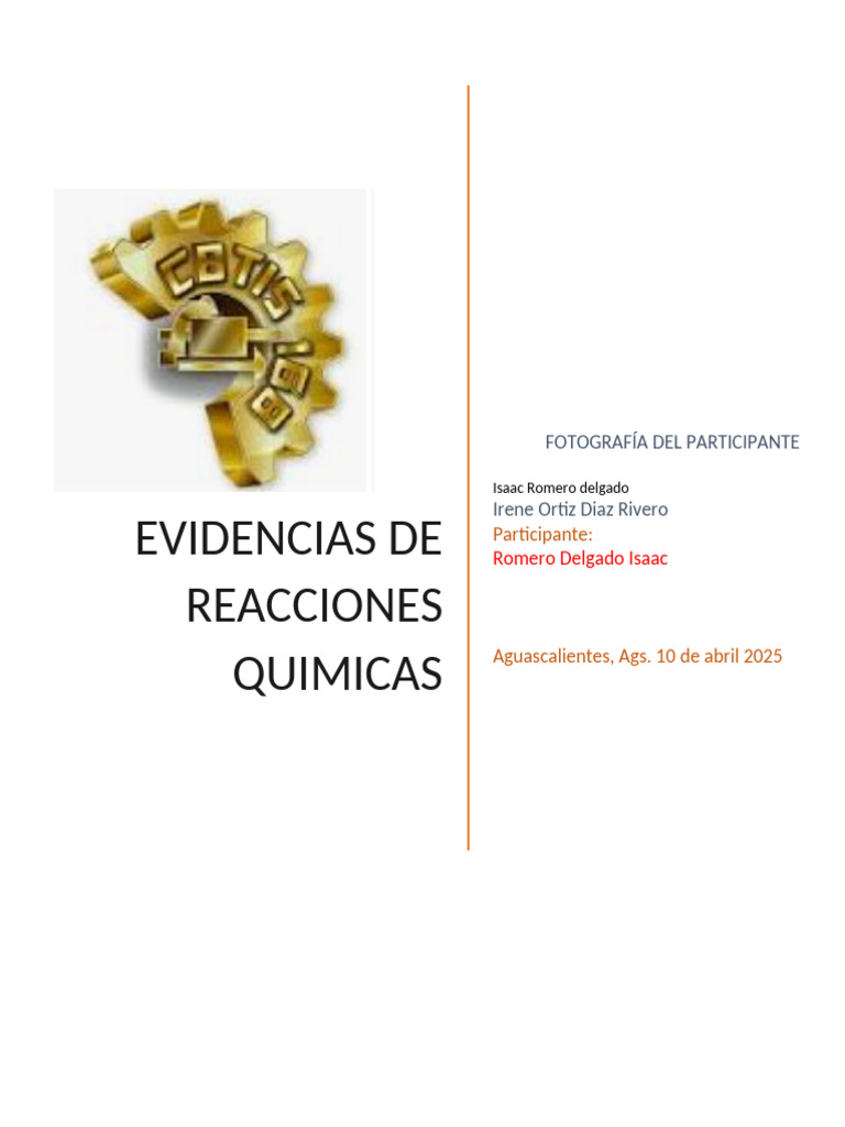 Evidencias de Reacciones Quimicas: Fotografía Del Participante Irene ...