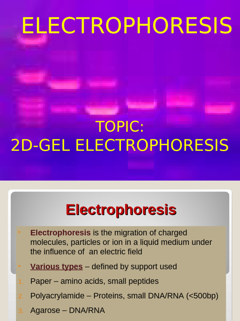 2 Dimensional Gel Electrophoresis Etc Use | PDF | Electrophoresis ...