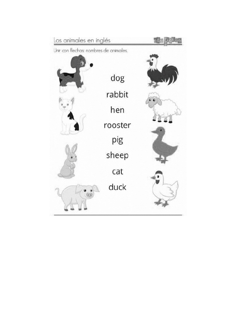 Ingles Animales y Angulos | PDF