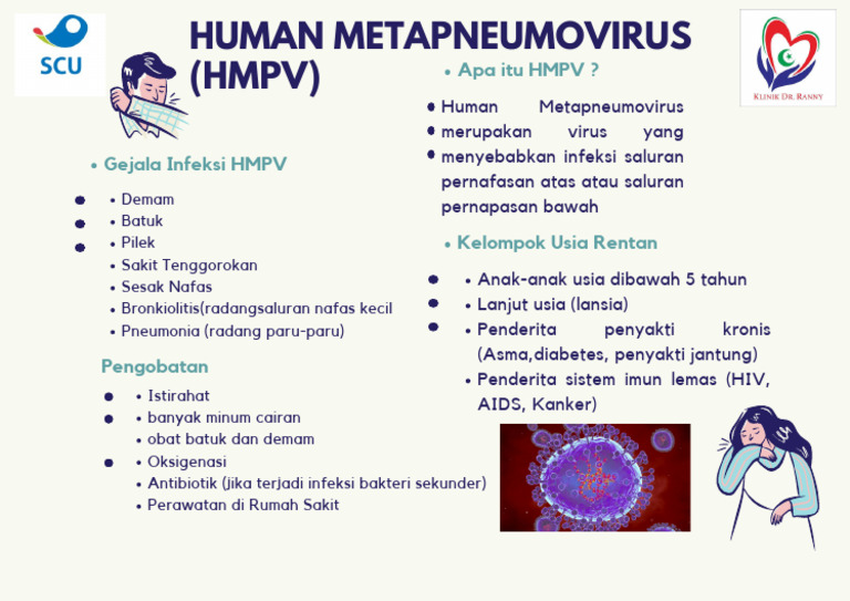 Gejala dan Pengobatan HMPV | PDF