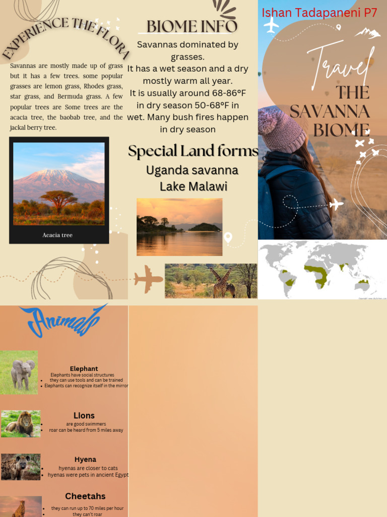 Ishan Savanna Biome | PDF
