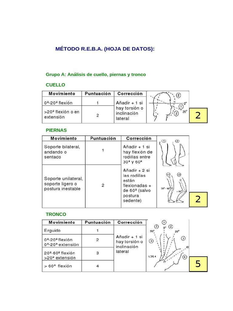 caso REBA EXCEL | PDF