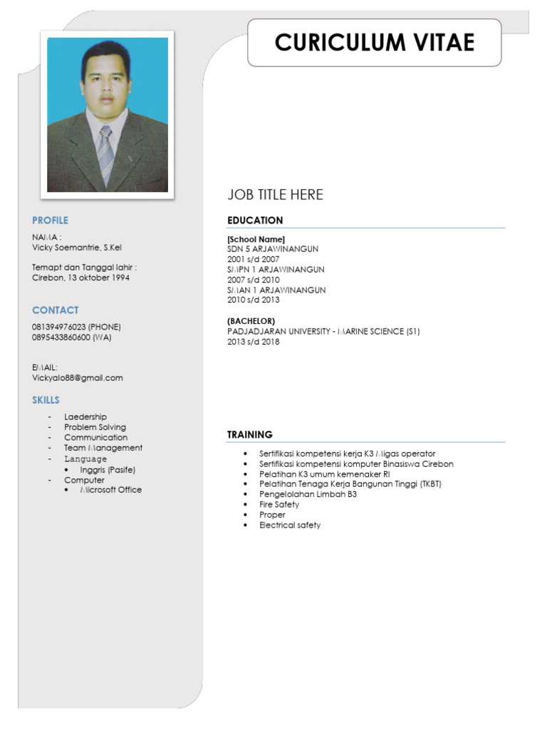 The New CV Vicky S | PDF