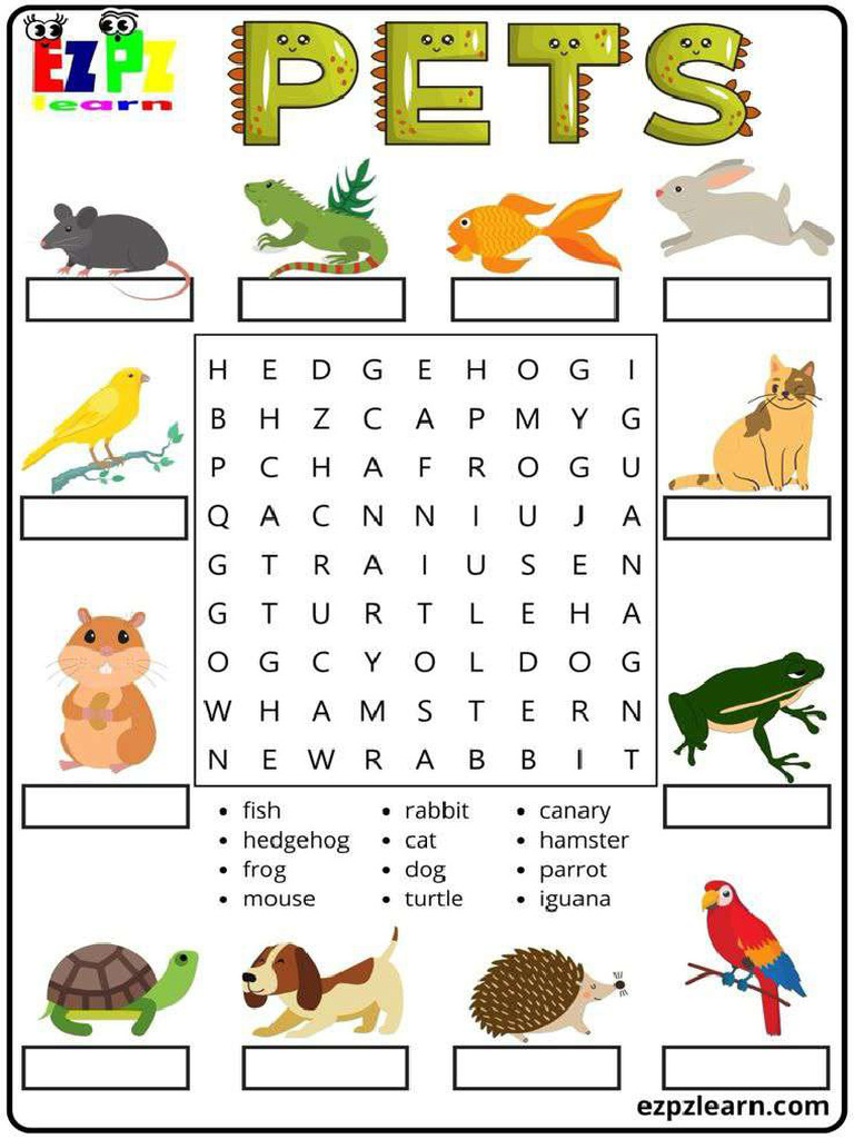 Pets Vocabulary Word Search and Word Match For Kids and ESL Students | PDF