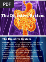 Blank 4 Panel Comic Strip | PDF | Biology | Digestive System