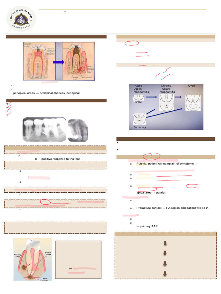 ENDO-MID - 5th Periapical Conditions | PDF | Dentistry Branches | Dentistry