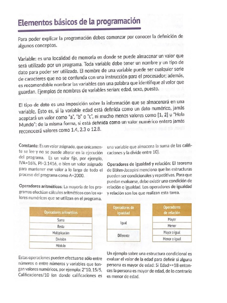 3.4 Elementos y Tipos de Datos o Variables | PDF | Tipo de datos | Variable (informática)