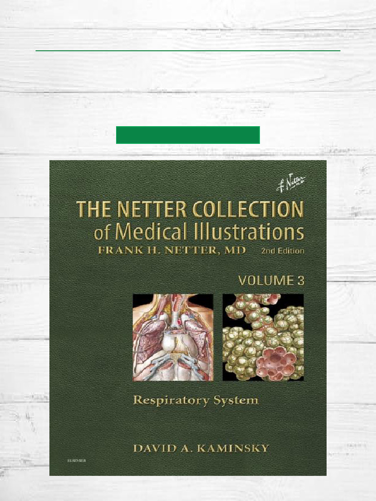 Most Loved Netter's Respiratory System - 2nd Edition | PDF