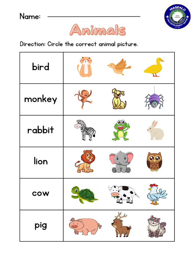 Animal Identification Worksheet | PDF