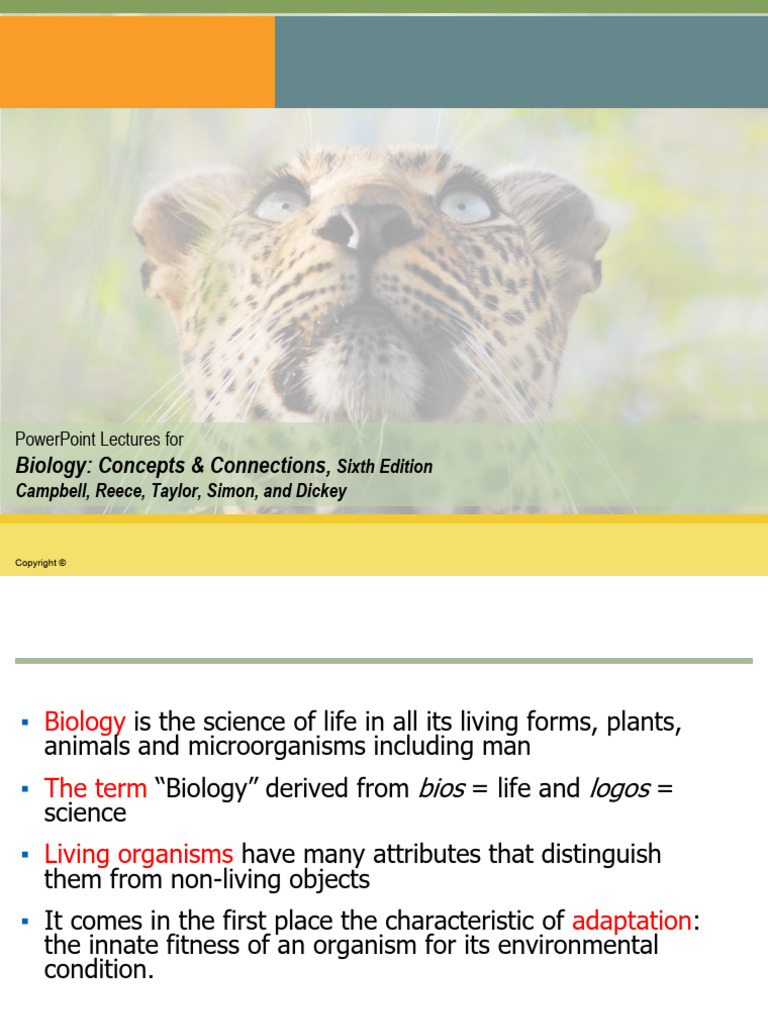 1 - Biology Exploring Life 2025 | PDF | Cell (Biology) | Prokaryote
