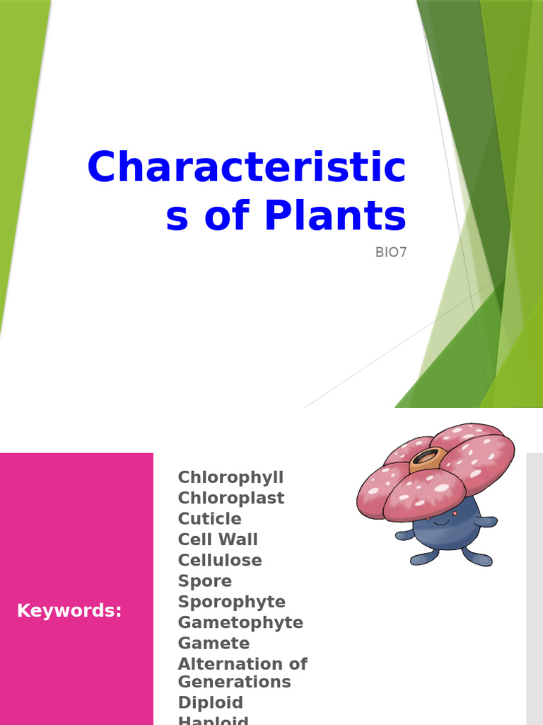 Characteristic of Plants PPT MCD Bio 7 - No CJ | PDF | Biology | Plants