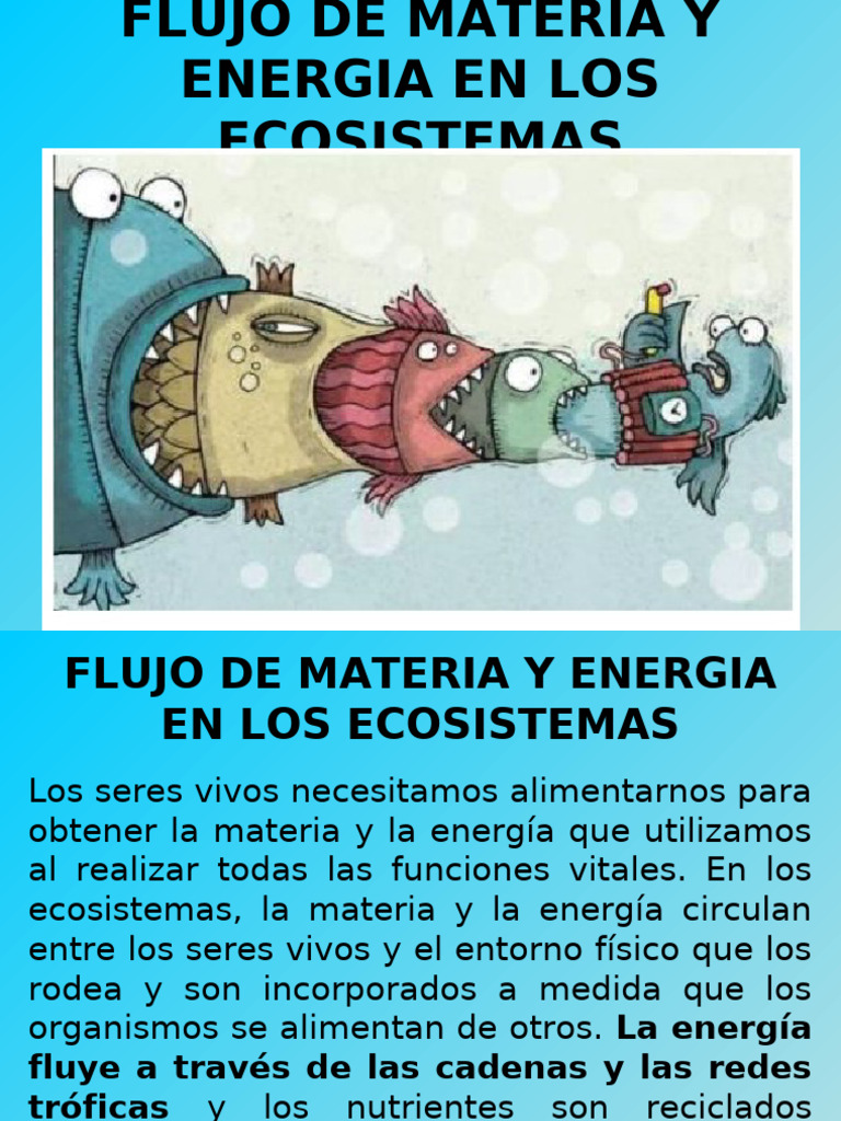Flujo de Materia y Energía en Ecosistemas | PDF | Red alimentaria ...