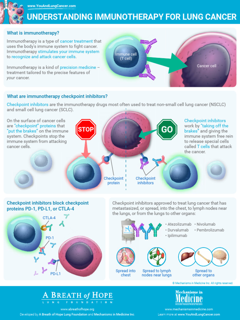 Immunotherapy for Lung Cancer Explained | PDF | Lung Cancer | Cancer