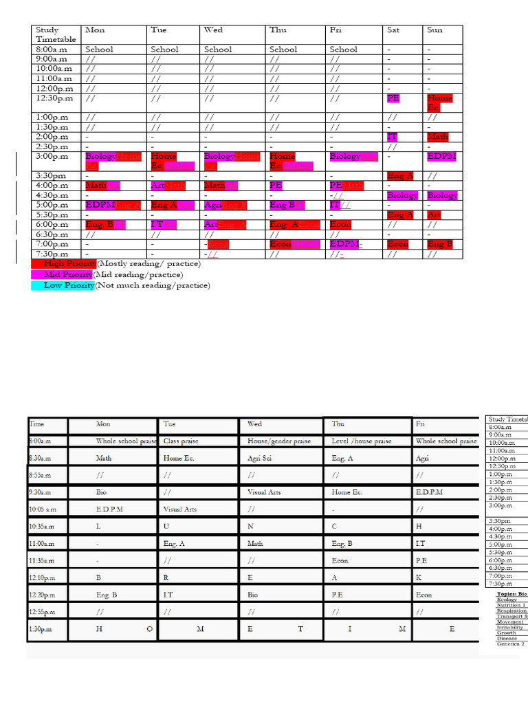 Sample Study Timetable Csec Studies | PDF