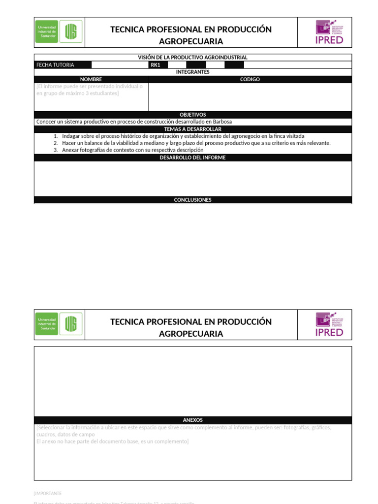 Formato-informes- VPA | PDF