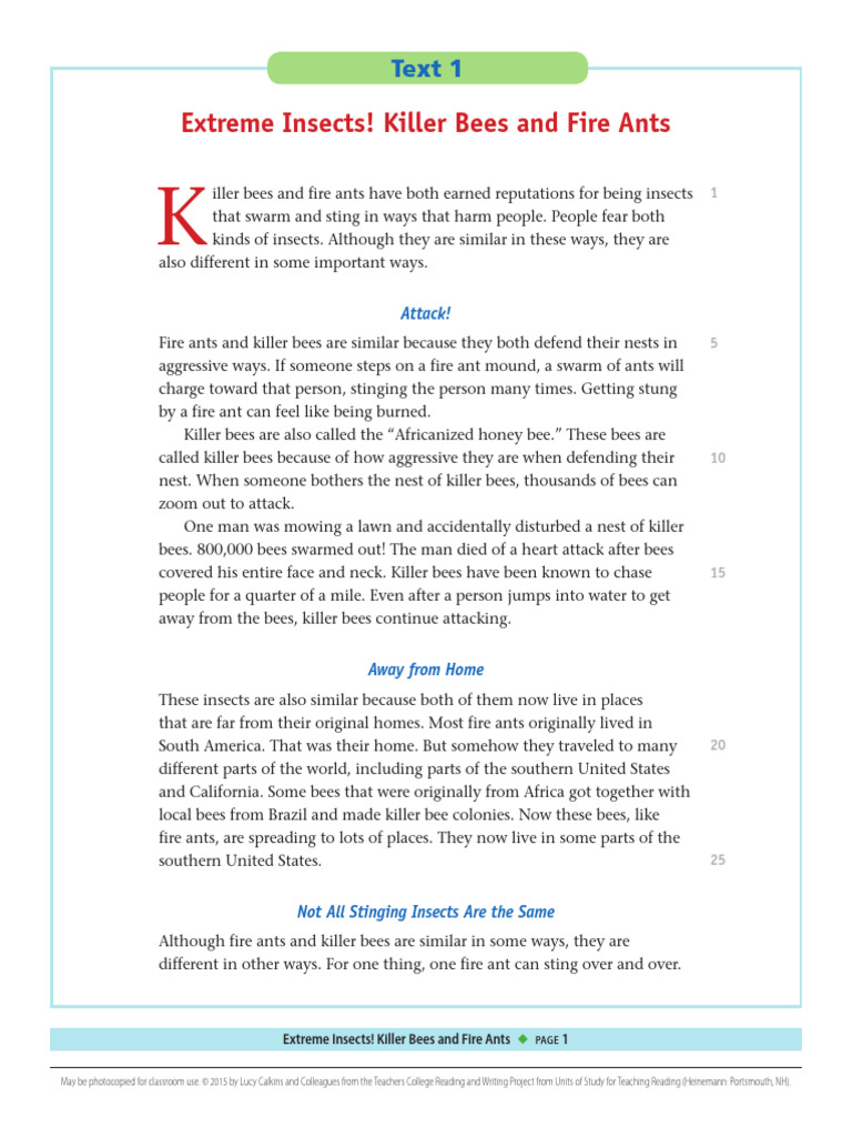 Everett Kim - Readingweather Post Test Texts | PDF | Bees | Ant