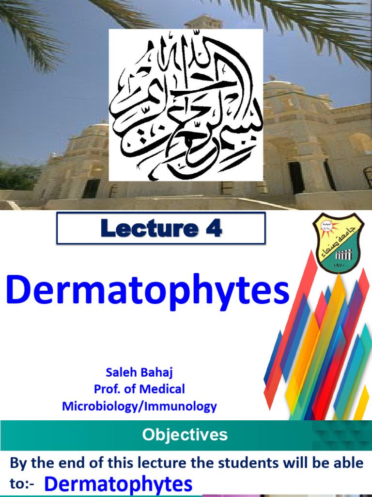 Dermatophytes 4 | PDF | Mycology | Fungus