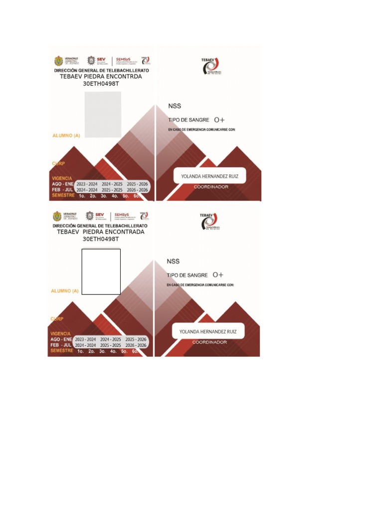 Formato Creden | PDF